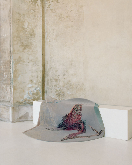 Design your own custom rug: the 4 steps to customizing it