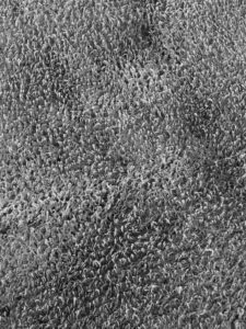 Metallic rugs: what are they and Why you should consider them